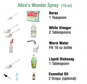 Michael Huber Architects » Blog Archive » Alice’s Wonder Spray